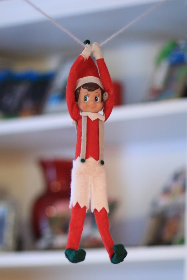 watch out for the woestmans: Elf on the Shelf Update
