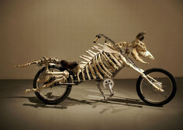 Crazy, Lazy, Silly and Strange: Animal bikes...