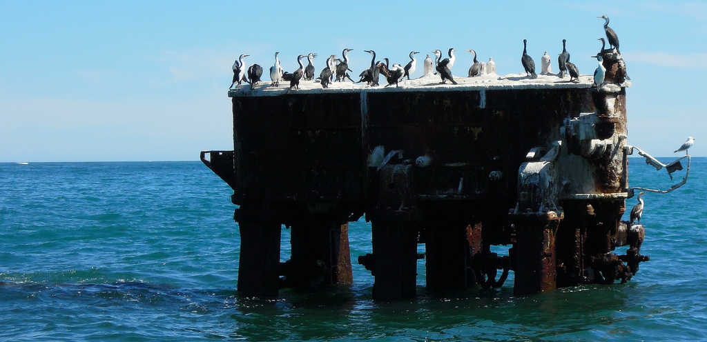 Eidolon Paranormal Australia: The Alkimos - A Cursed Wreck.