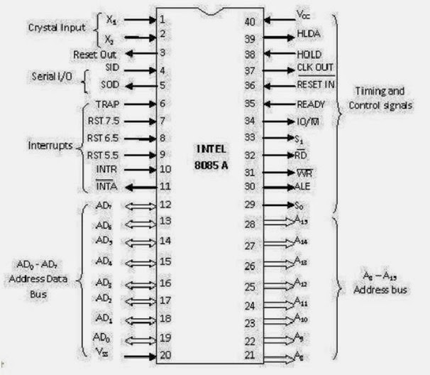Pine-App - "A new idea to dream"
