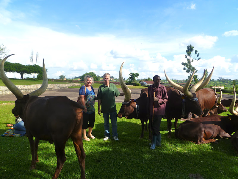 The Kroghs in Kigali!: The King's Palace and the Rwandan Cows!