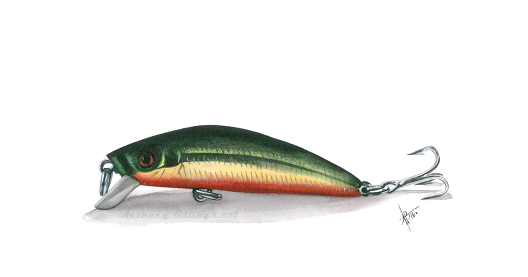 Anthony Billings Art: Minnow - watercolor