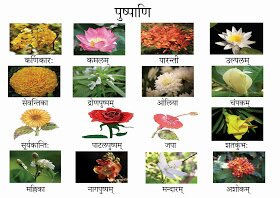 Names in Sanskrit | sanskrit free