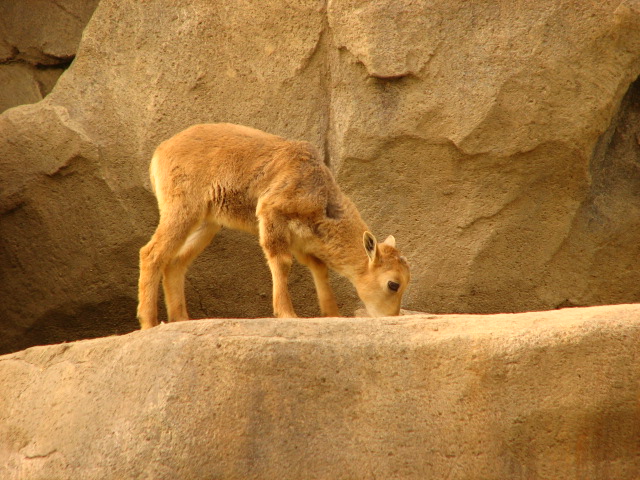 The Amazing Adventures of Carly And Korea: Sunday promenade