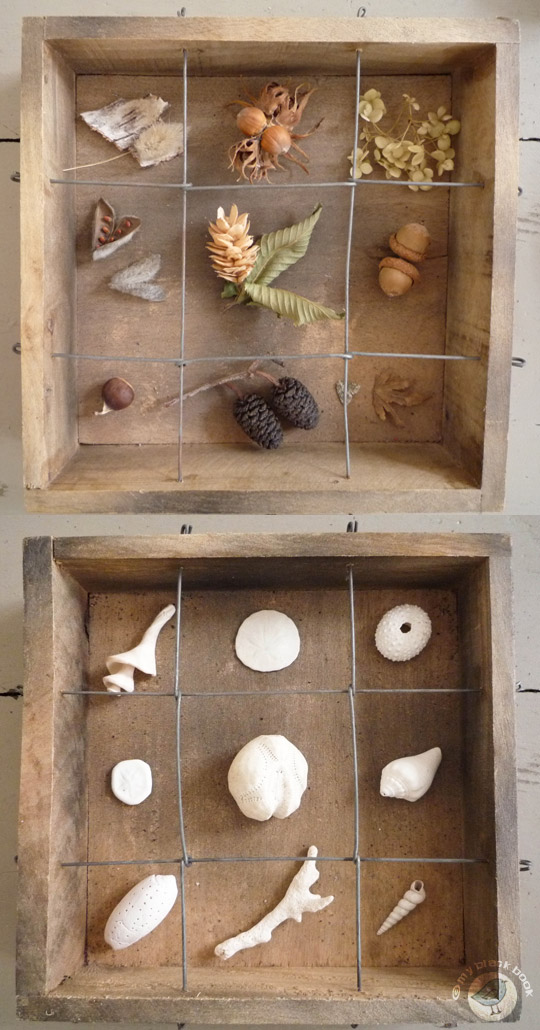 Intro to 3D: Box Project