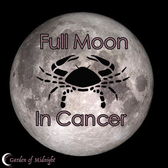 ☽Garden of Midnight☾: 22nd of December, Full Moon in Cancer