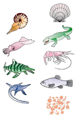 Earth Learning Idea: Who ate the ammonite? - Jurassic food web