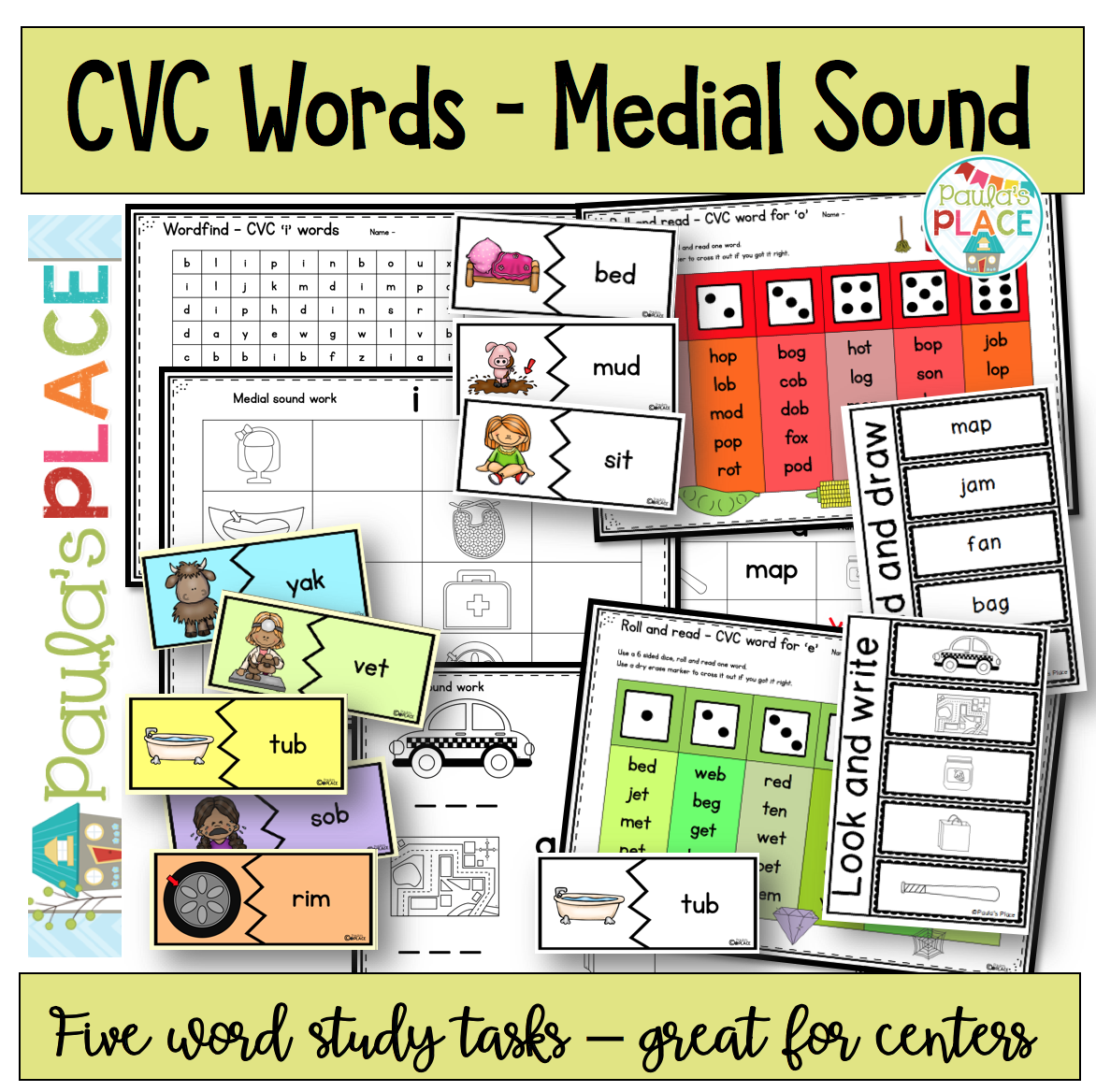 Paula's Place Teaching Resources: CVC and Medial Sound Tasks