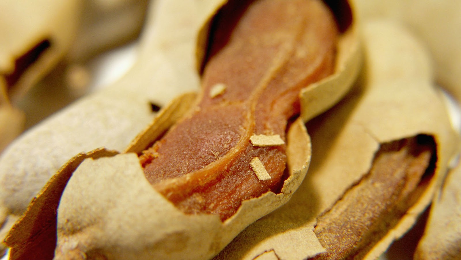 Ingin Organ Hati 20 Tahun Lebih Muda? Konsumsi Buah Ini ~ Terunik News