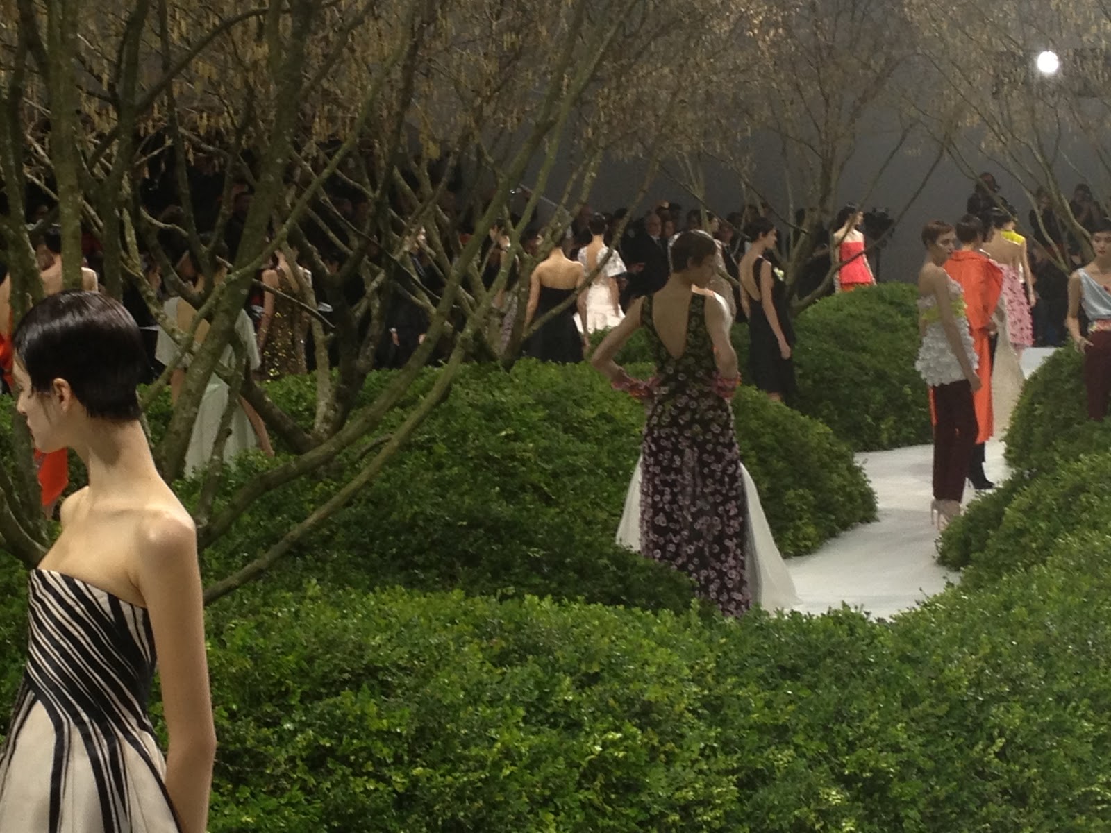 Sutton's Law: Christian Dior Haute Couture: A Splendid Forest
