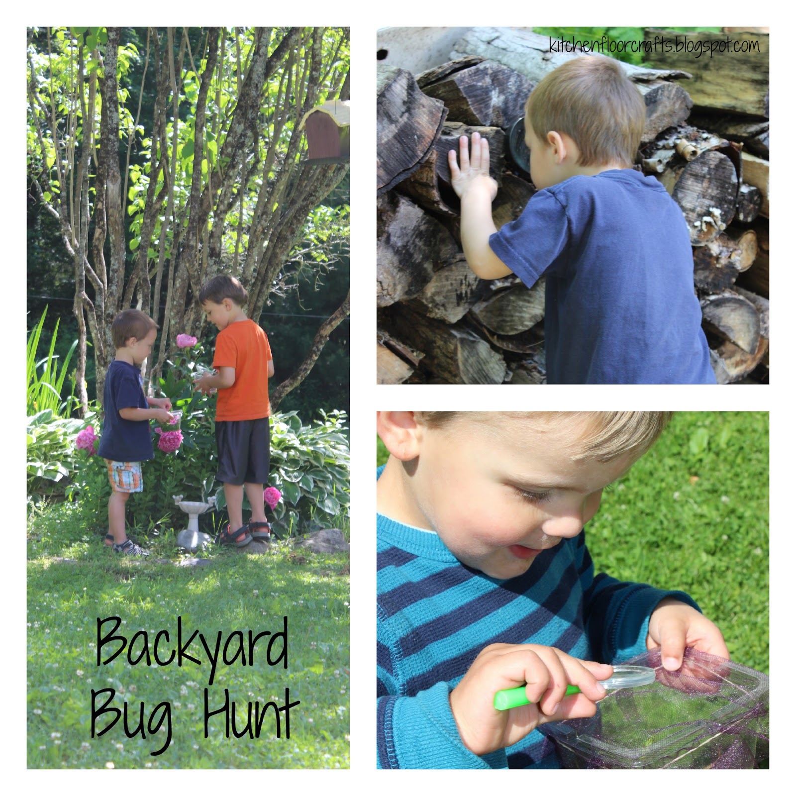 Kitchen Floor Crafts: Bug Week (Simple Summer Theme #1)