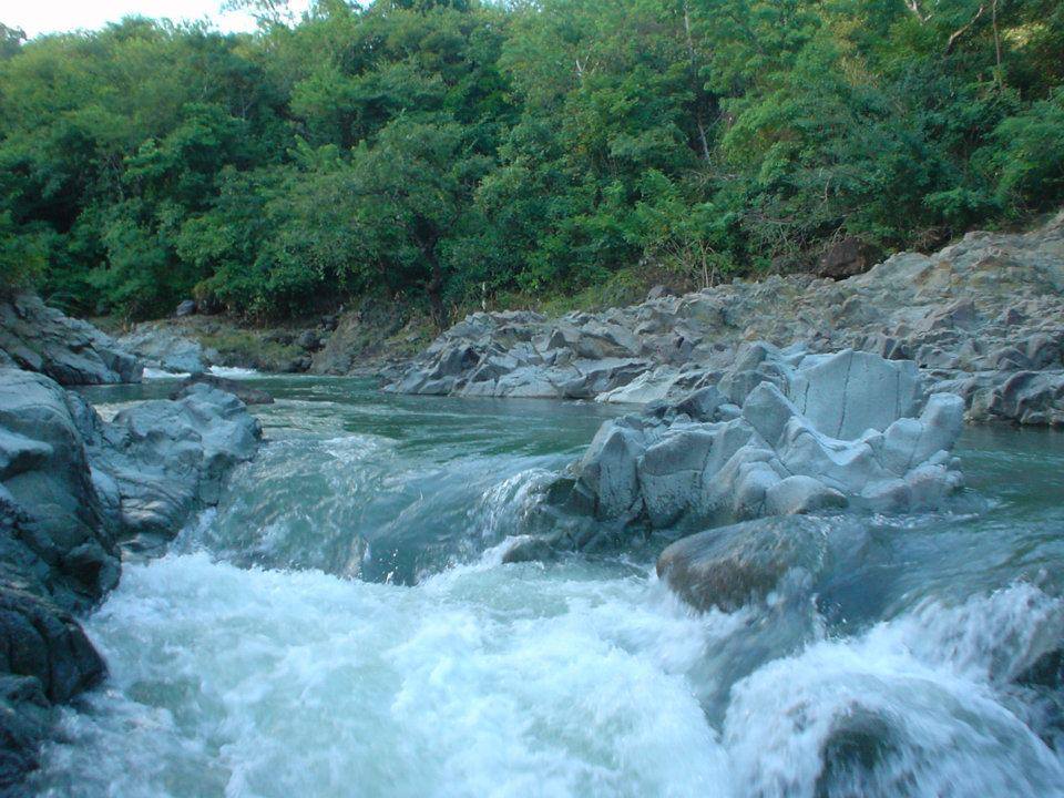 Mi Cultura: Lislique