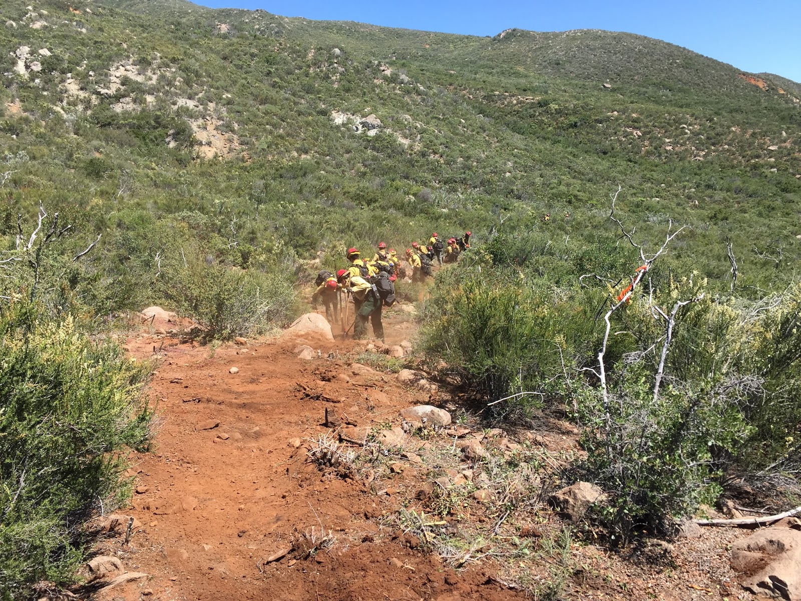 THE LAGUNA INTERAGENCY HOTSHOT CREW