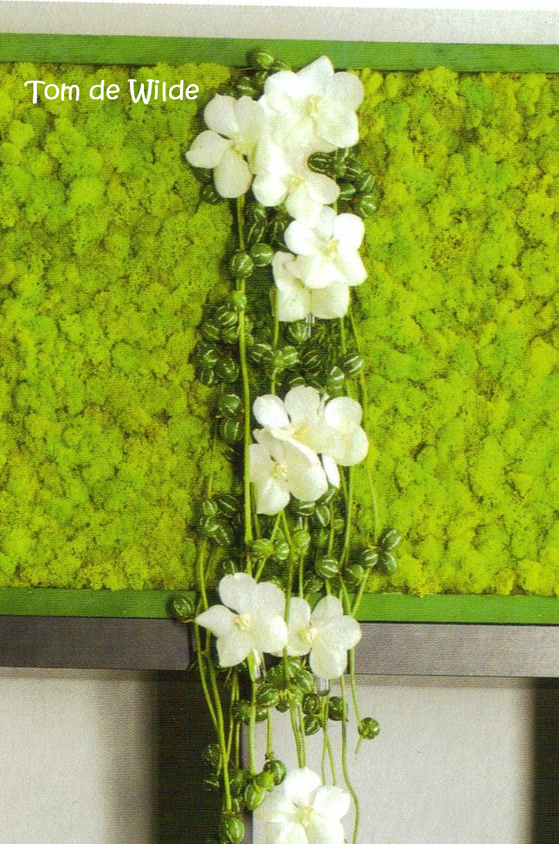 Fleuriste Isabelle Feuvrier: Tableau mural du designer floral belge Tom ...