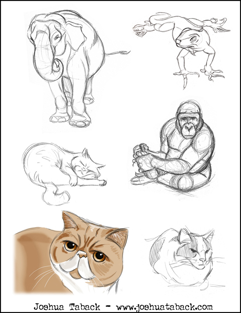 Joshua Taback Portfolio