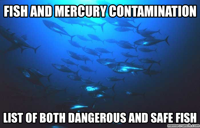 c. 2024: Fish / Seafood High and Least Mercury Contamination - List of ...