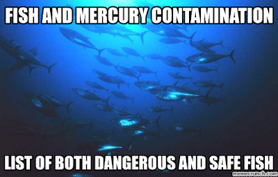 c. 2024: Fish / Seafood High and Least Mercury Contamination - List of ...
