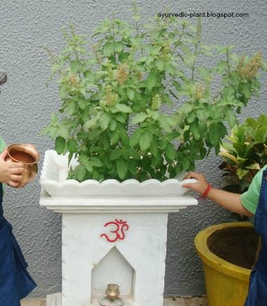 Nature worship by ancient Aryans of India – The Cultural Heritage of India