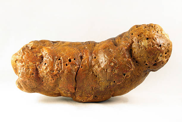 Encyclopédie du Rien: matière fécale