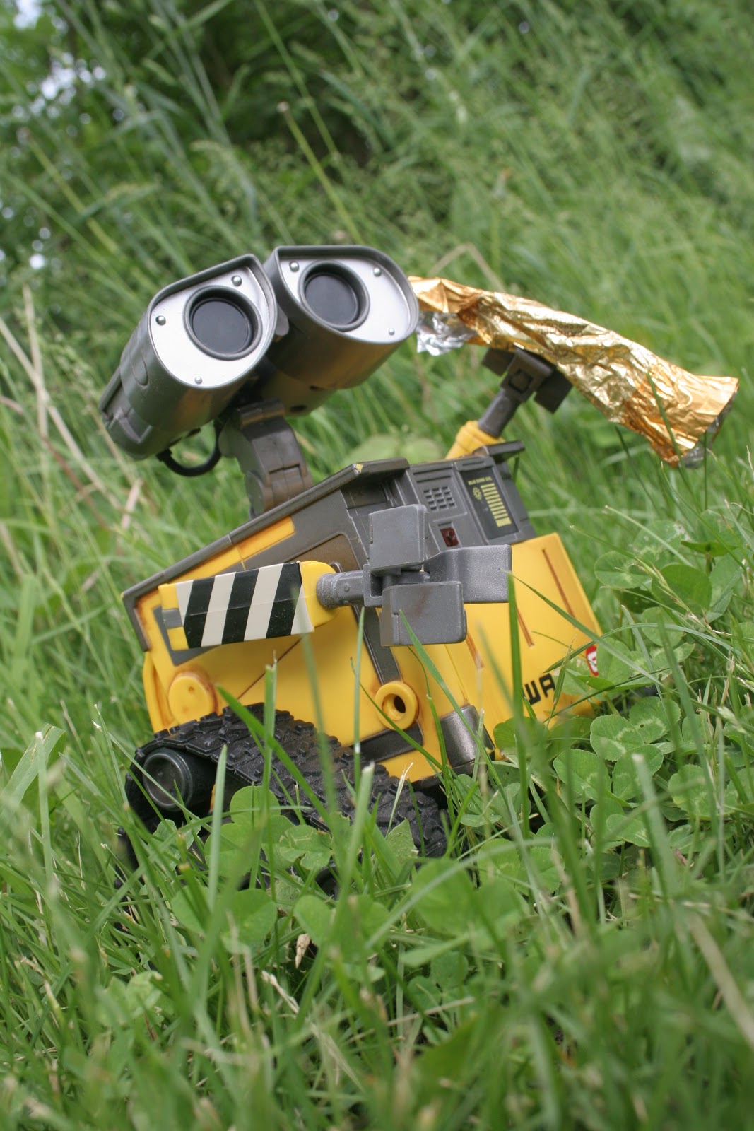 Vesper Luna: Wall-E Cleaning Up Oakledge Park