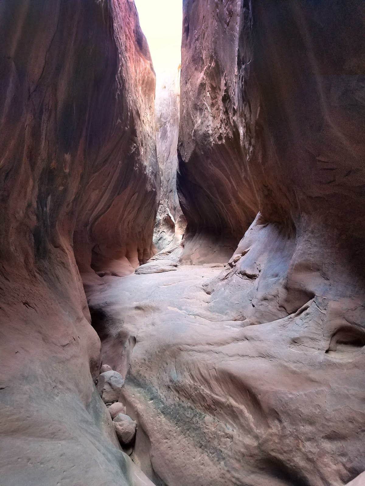 SmilingCricket.com: Davis Gulch