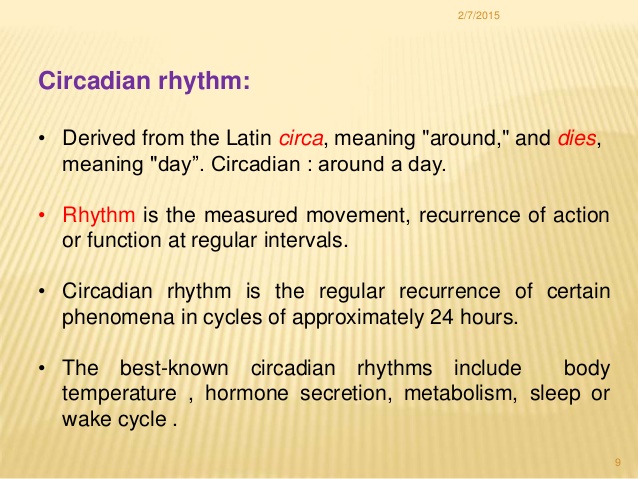 EXAMS AND ME : Circa