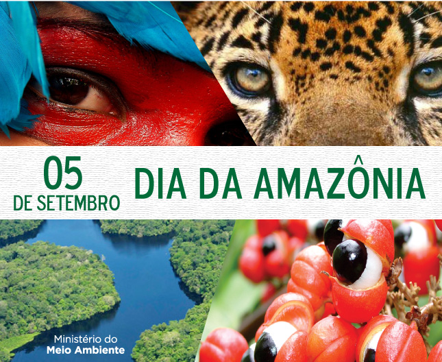 GESTÃO AMBIENTAL: 05 de Setembro - Dia da Amazônia