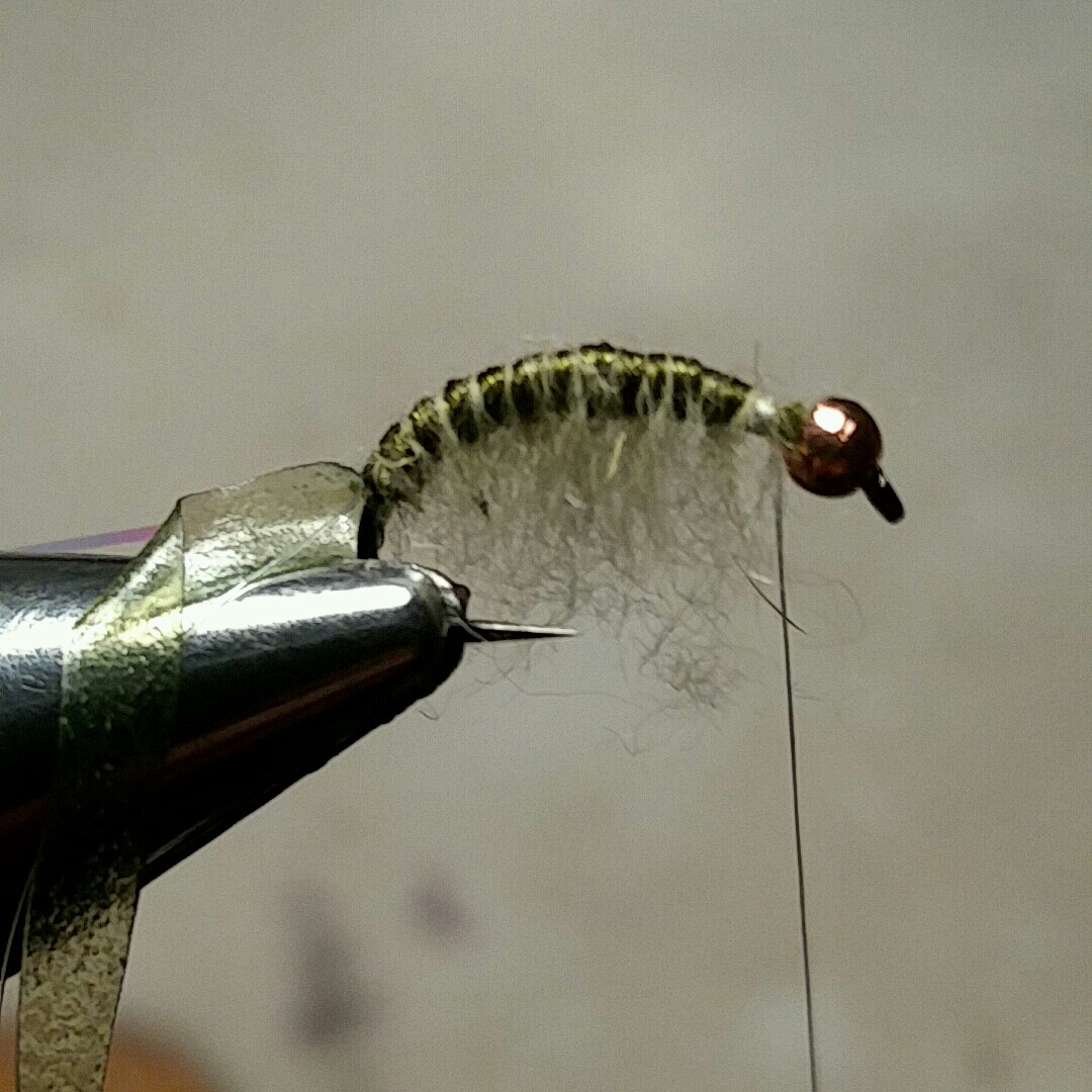 Piscari-Fly : Sedge Pupa Nymph