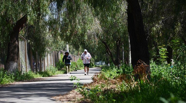 ASOCIACION ECOLOGISTA RIO MOCORETA: LAGUNAS URBANA DE BOLIVIA