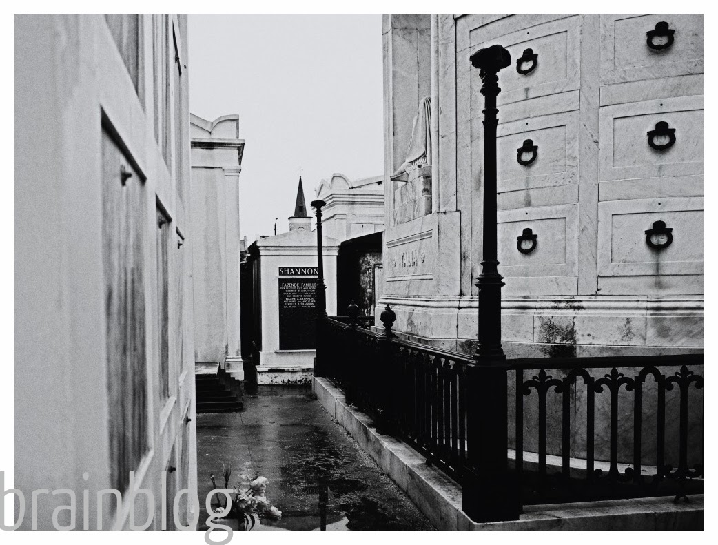 .: Easy Rider cemetery