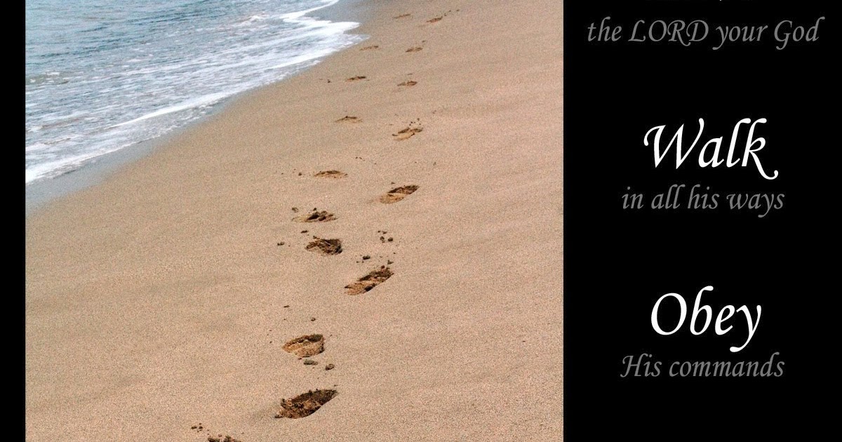 Walk In Wisdom - Digging The Word