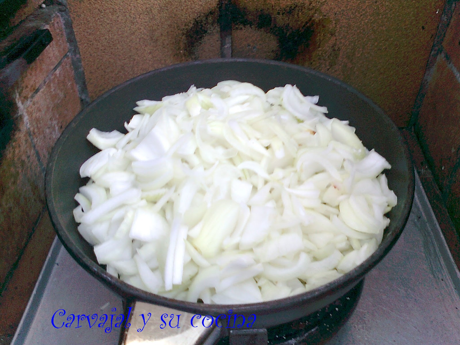 CARVAJAL Y SU COCINA: 08/17/12