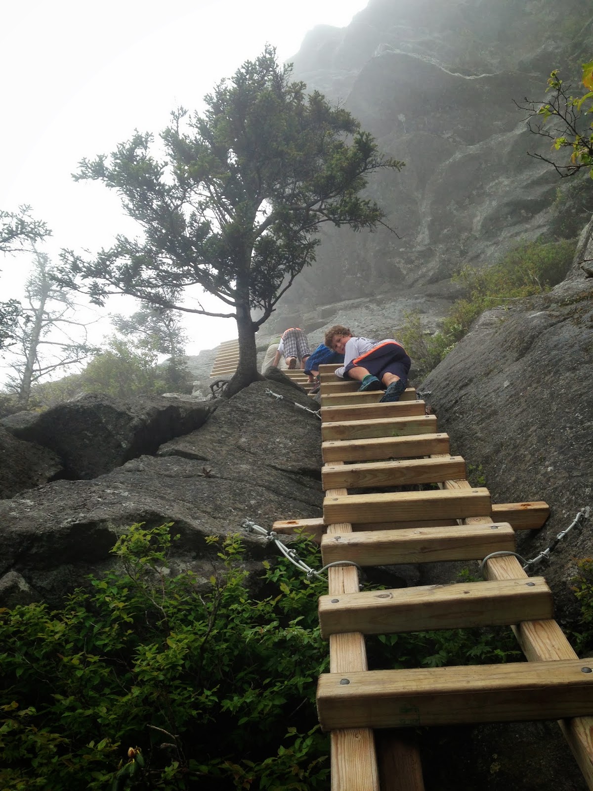 LastingerTravelBlog: Hiking The Profile Trail by Wiley