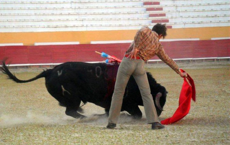 El Redondel Taurino: MÁRIO ALCALDE NOVILLERO ESPAÑOL REALIZA VARIOS ...