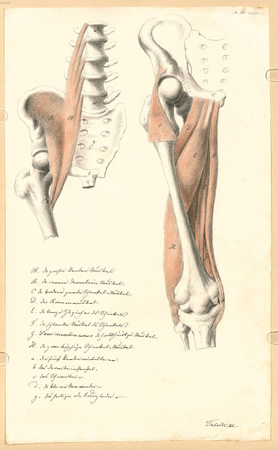 facsimilium: May 2012