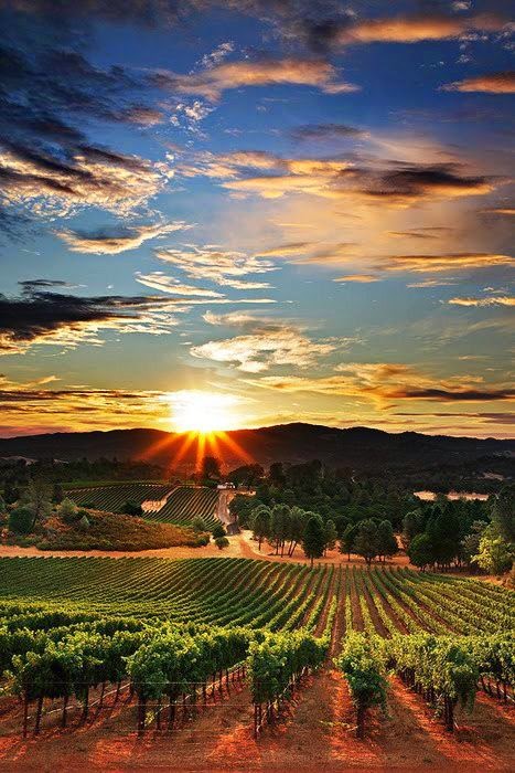 Napa Valley, California