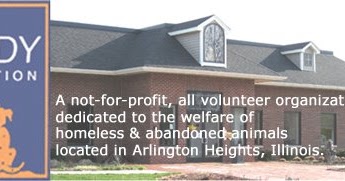 The Olive Branch: Service Learning Club Fundraiser