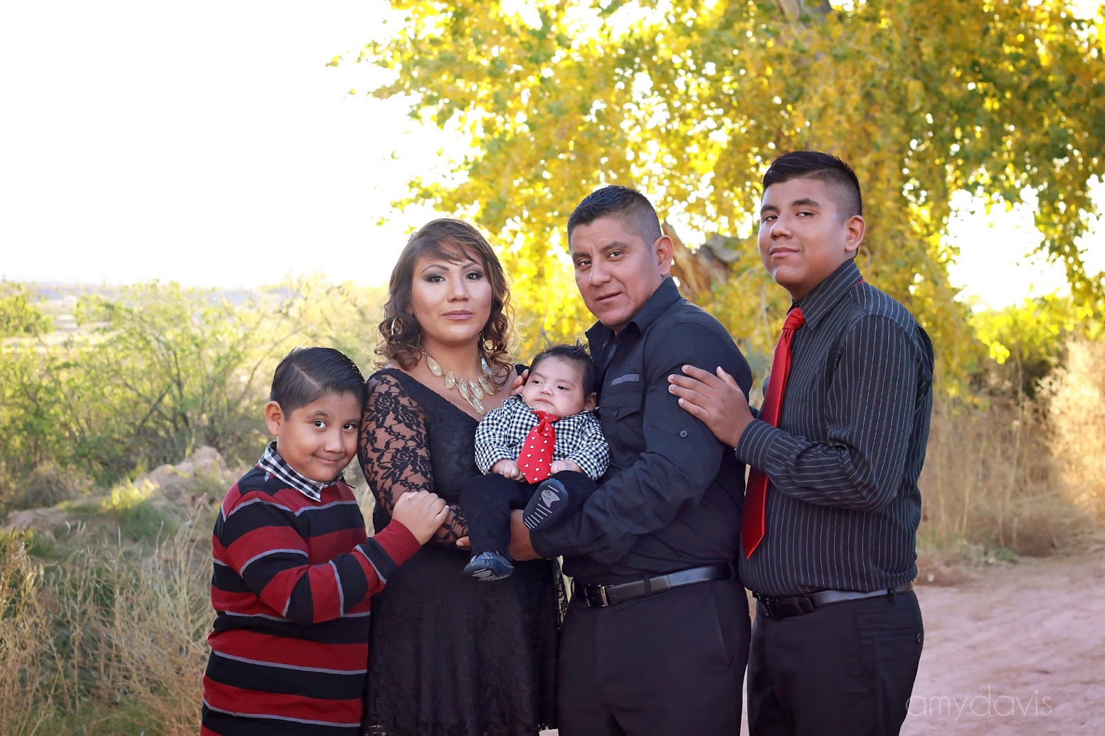 Amy Davis Photography