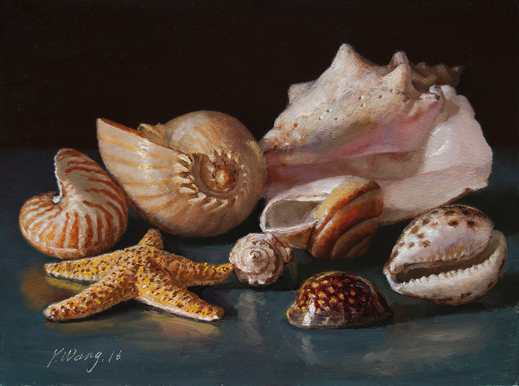 Wang Fine Art: seashells oil painting still life original contemporary ...