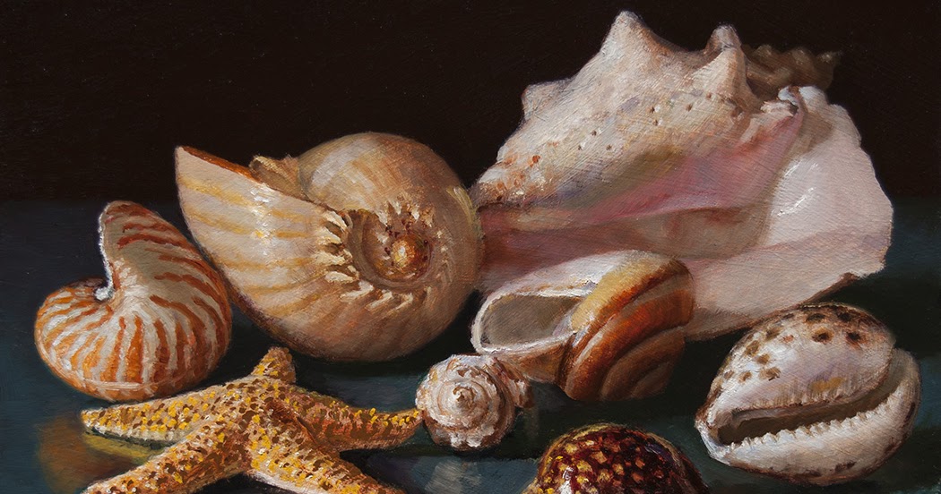 Wang Fine Art: seashells oil painting still life original contemporary ...