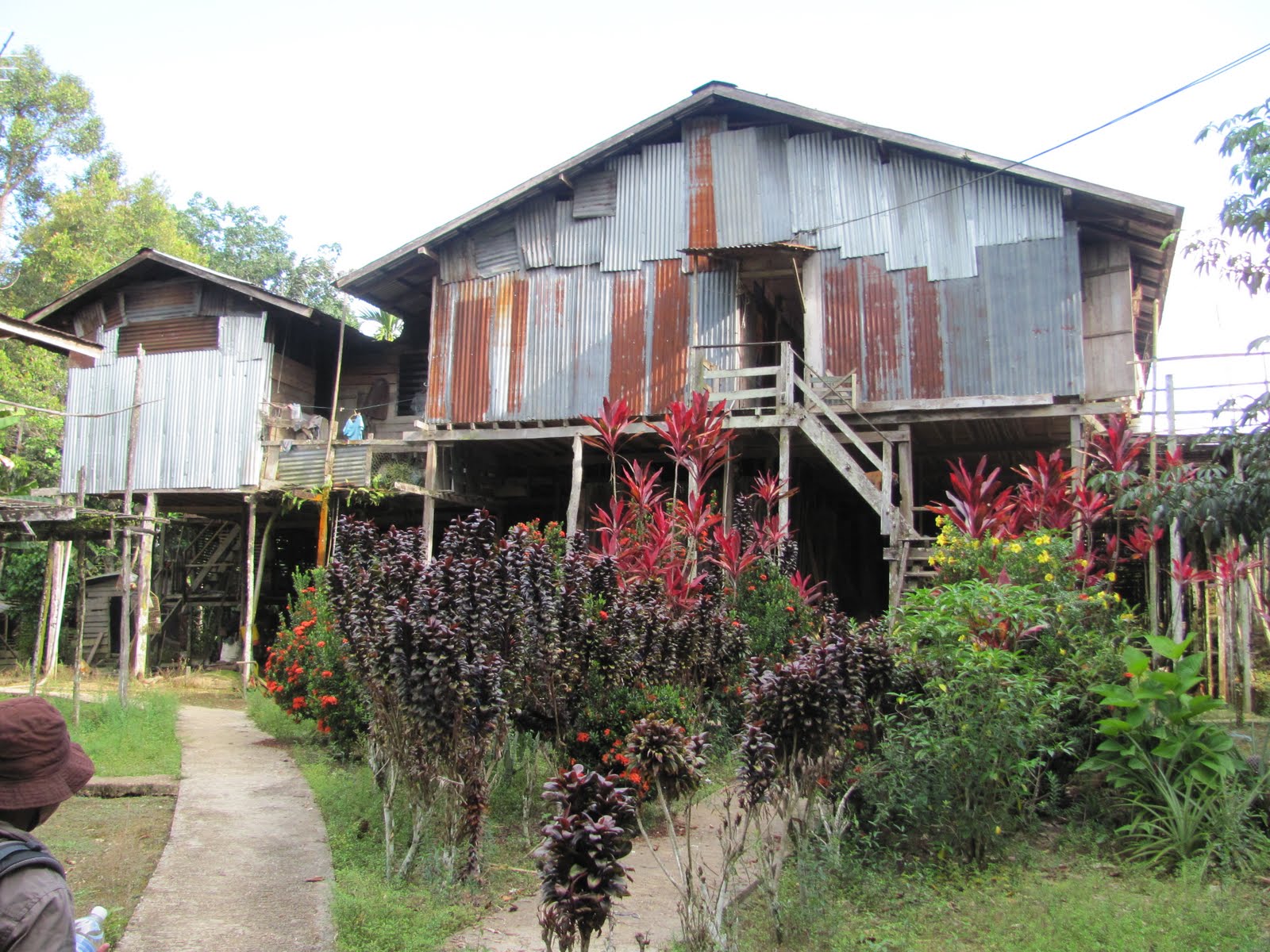 Mark McGinley's Fulbright in Malaysia: Visit to an Iban Longhouse