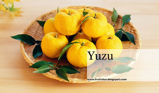 Ever Fresh Fruits: February 2016