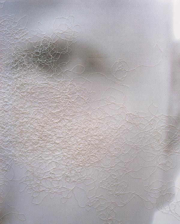 Lin Tianmiao – a f a s i a