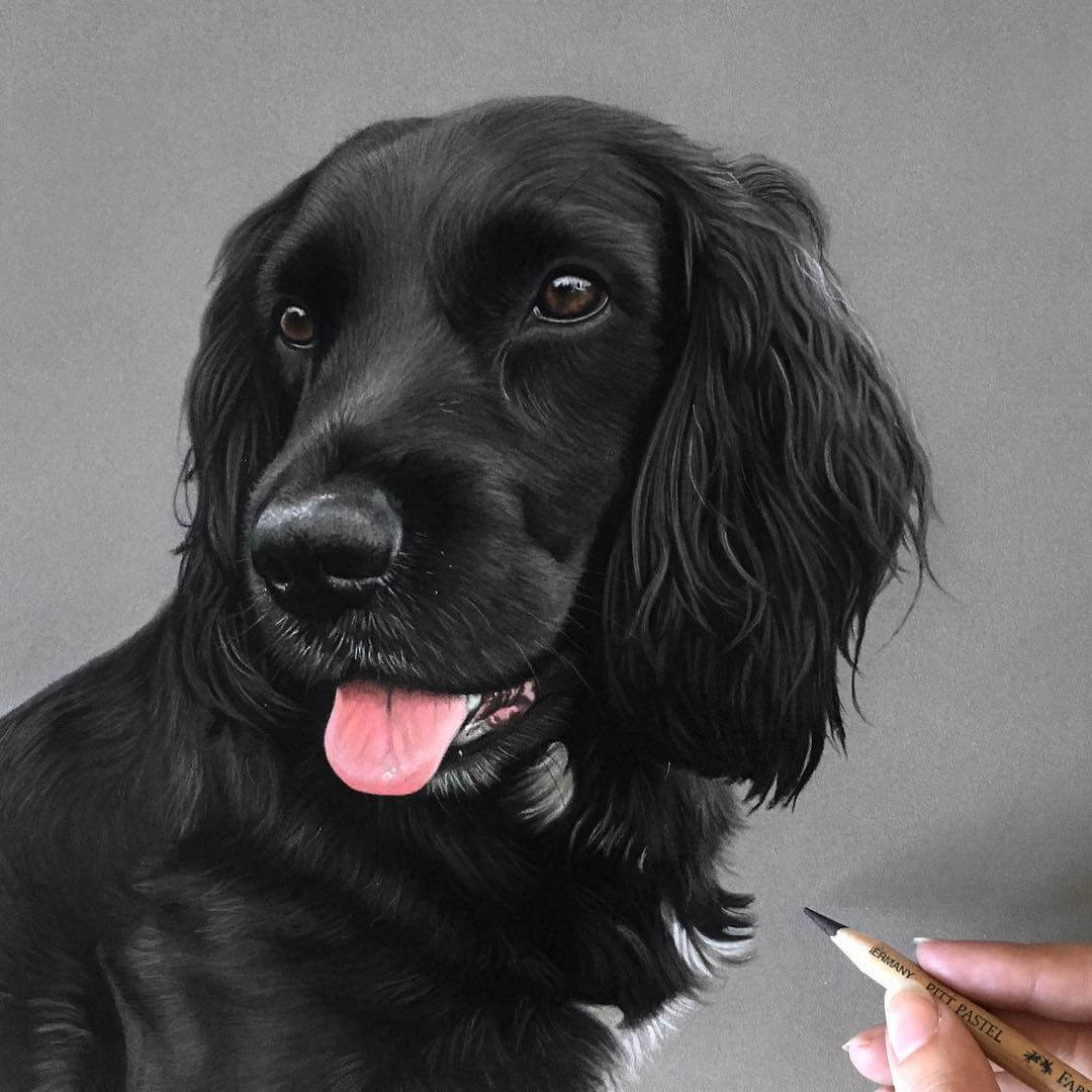 Design Stack: A Blog about Art, Design and Architecture: Dog Portraits ...