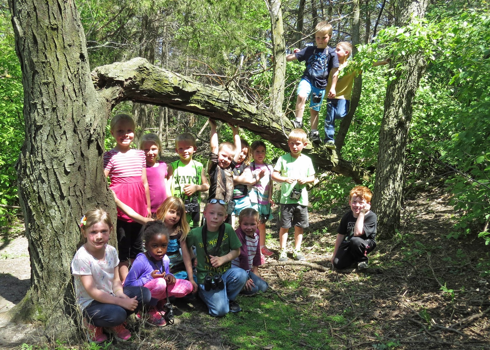 Kindergarten Rocks!: Kindergarten Field Trip