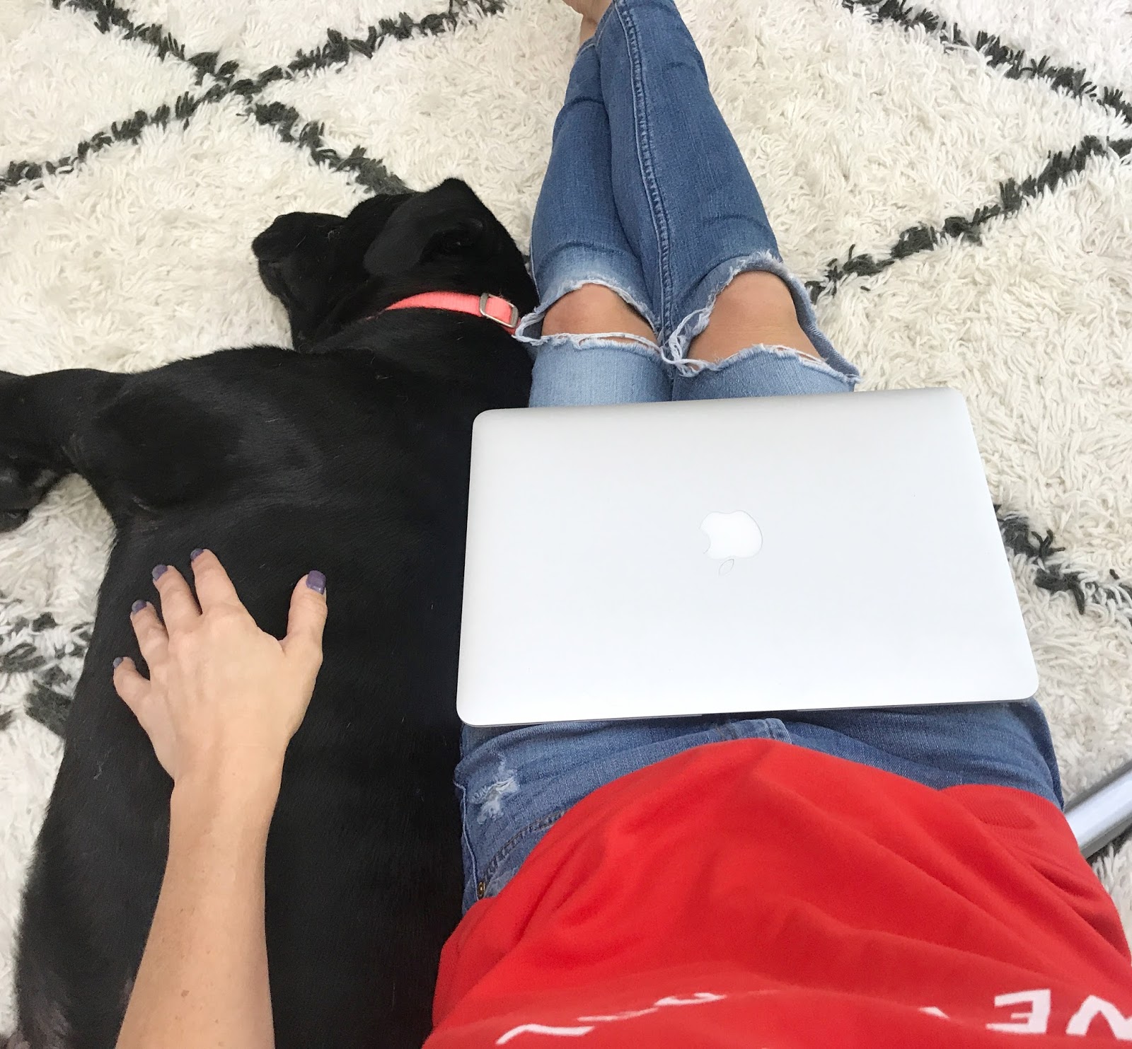 Meet Our First Foster, Riley. – THE DAILY TAY