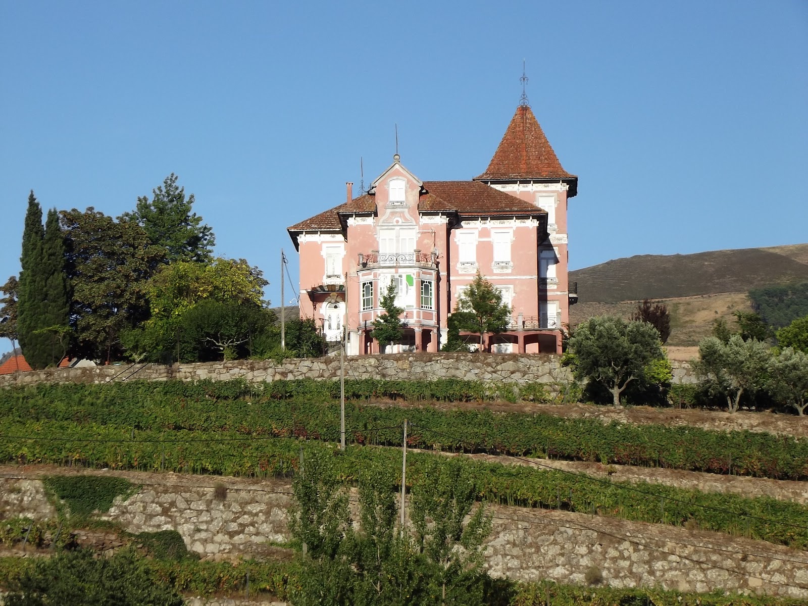 A NOSSA TERRA "FRENDE-BAIÃO"