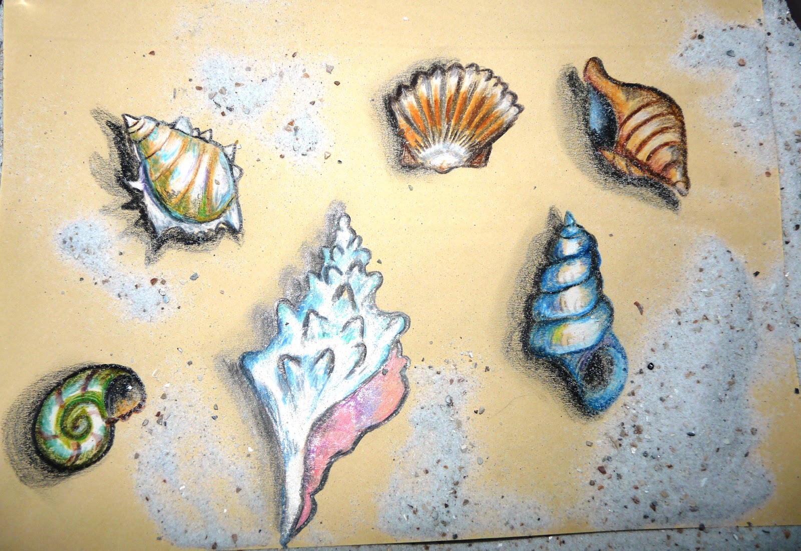 Zomerse schelpjes | Lilians Kladblok