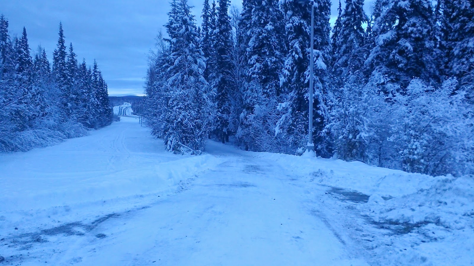 I Own A Car But I Still Walk To Work i-own-a-car-but-i-still-walk-to-work