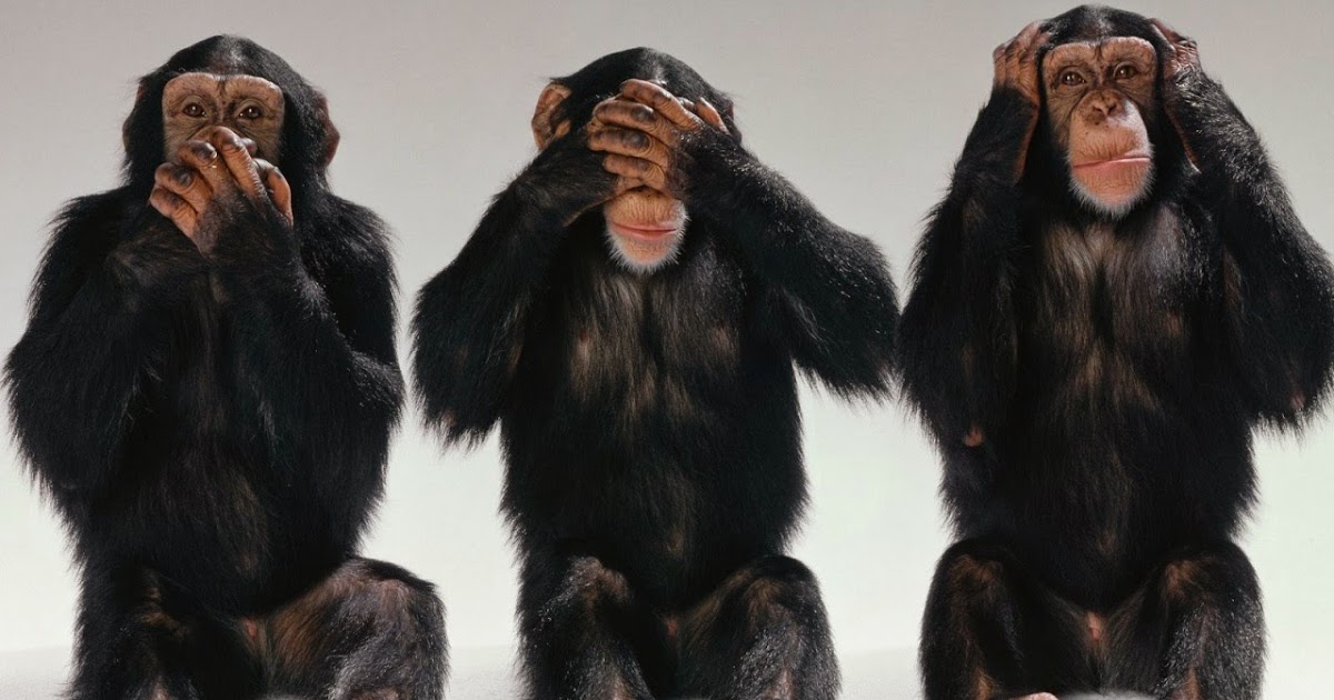 Teperestoran: 3 Maymun hikayesi